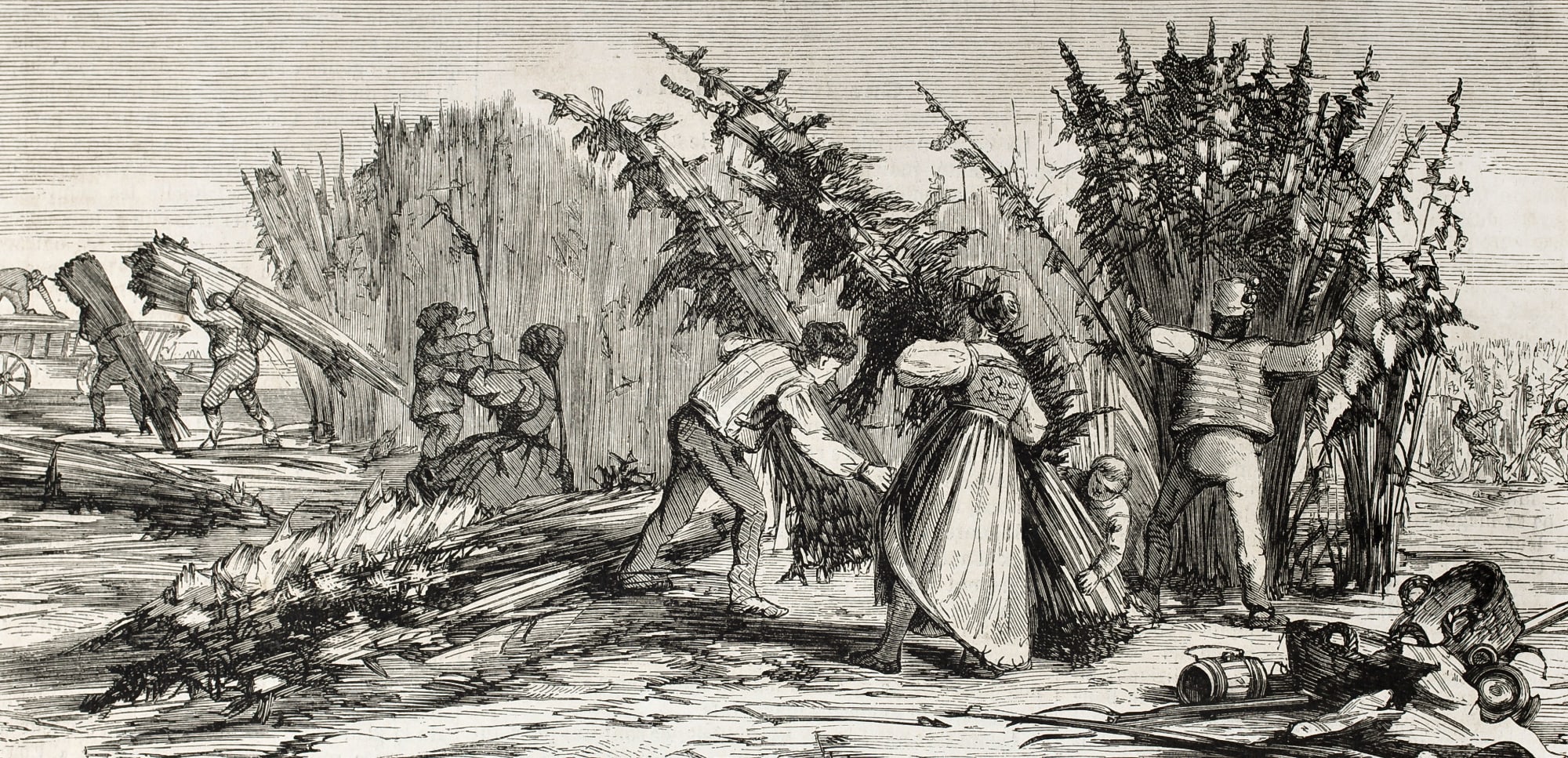 The History Of The Hemp Plant In The US - Aspen Green